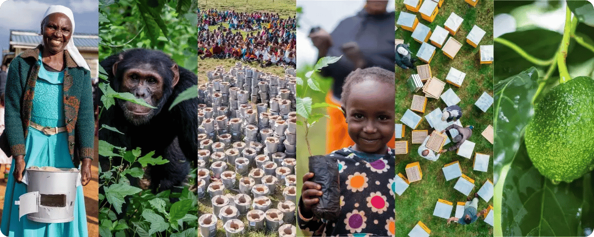 A year of growth: A message from the CEO of DGB Group